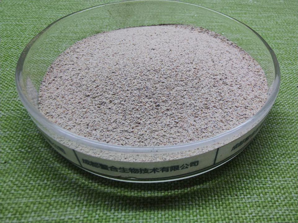 Organic Trace Minerals For Cattle Improve Fertility Health Milk ...