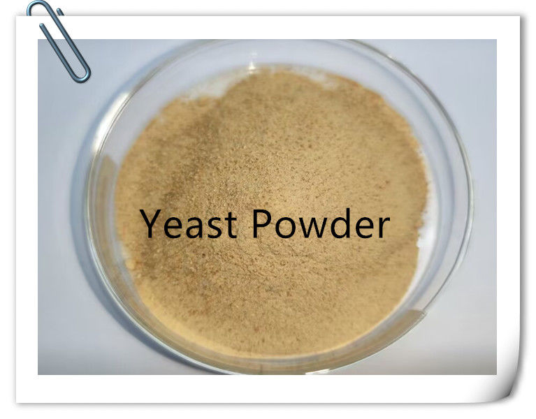 Live Stocks Yeast Powder Rich In Vitamins B & Organic Micro Nutrient ...