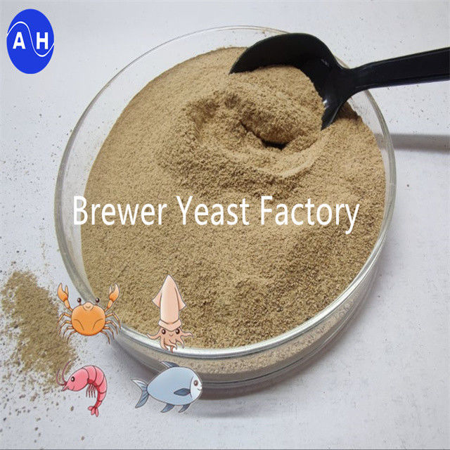 High Activity Brewer Yeast with Saccharomyces Cerevisiae for Digestive ...